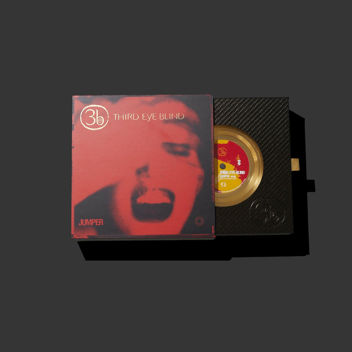 Third Eye Blind Jumper Signed Gold Record